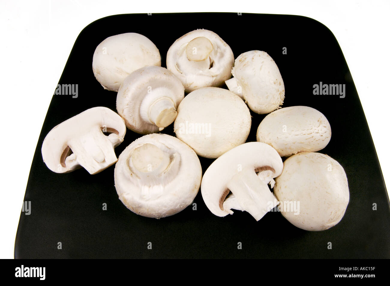 Elliptical spores hi-res stock photography and images - Alamy