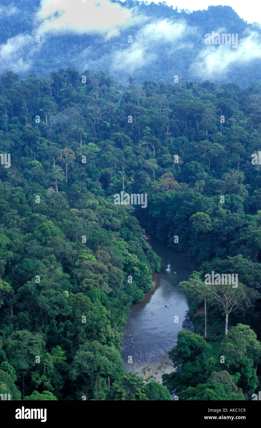 Danum valley borneo hi-res stock photography and images - Alamy