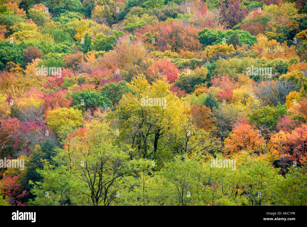Pennsylvania fall foliage tour hi-res stock photography and images - Alamy