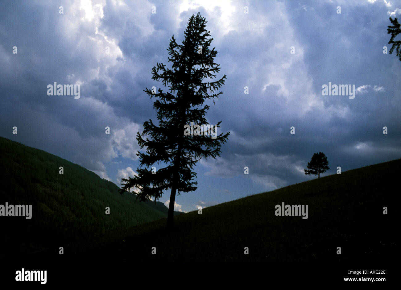 Bumbat hi-res stock photography and images - Alamy