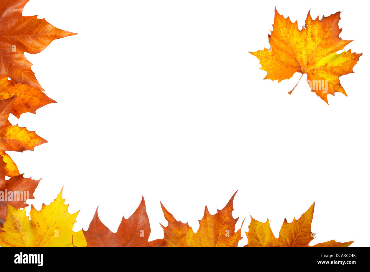 Colorful autumn corner made from leaves Stock Photo - Alamy