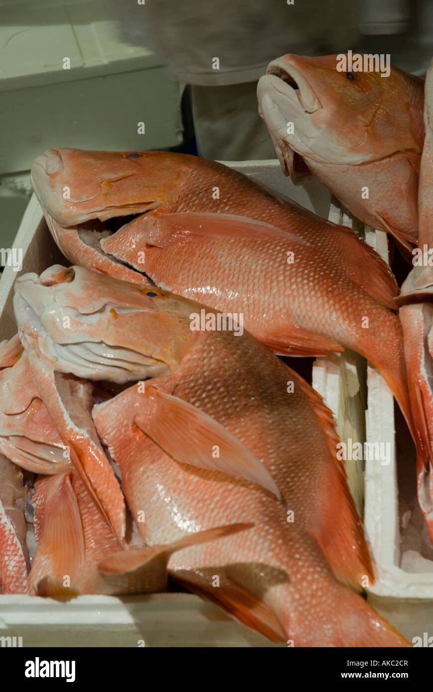 Fish for sale at a fish market Stock Photo - Alamy