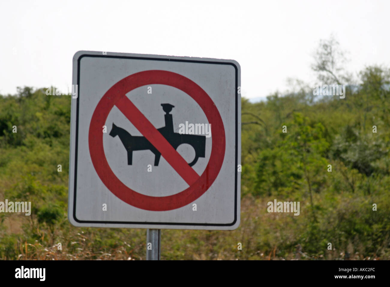 Horse road sign hi-res stock photography and images - Alamy