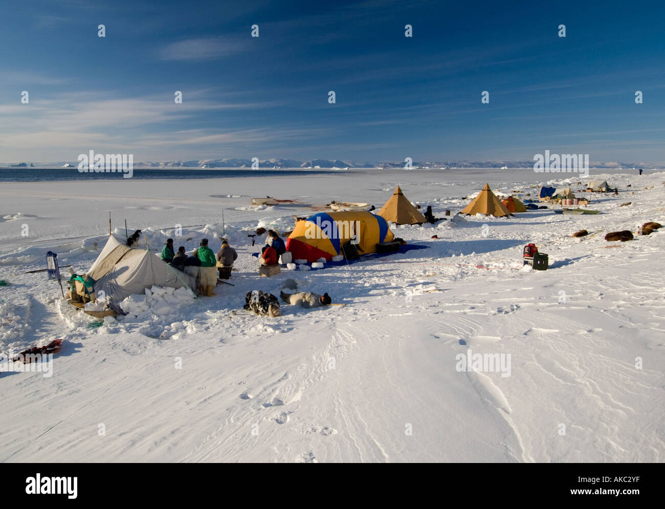 Qaanaaq greenland arctic hi-res stock photography and images - Alamy