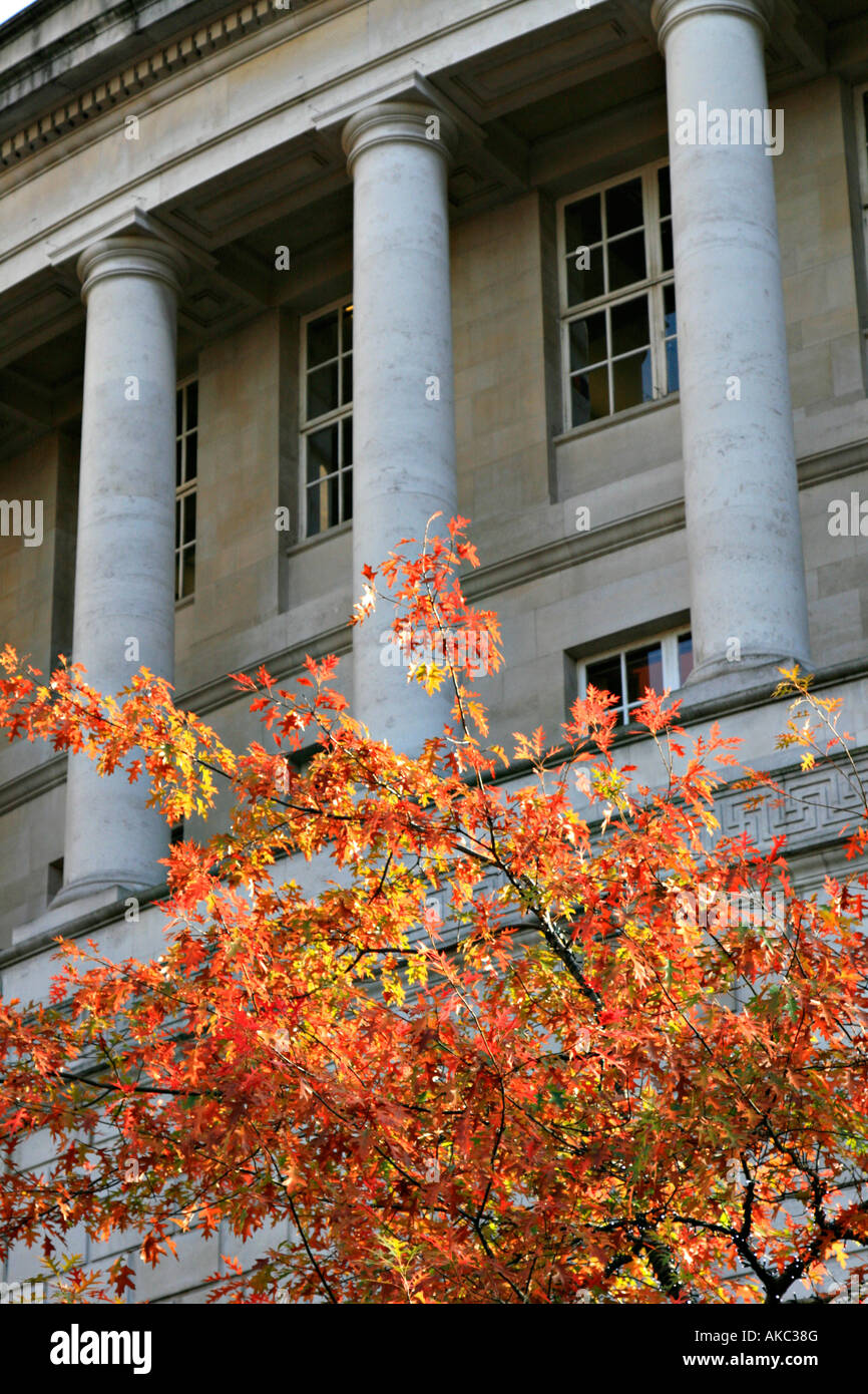 library columns autumn colours tree cityscape manchester city centre ...