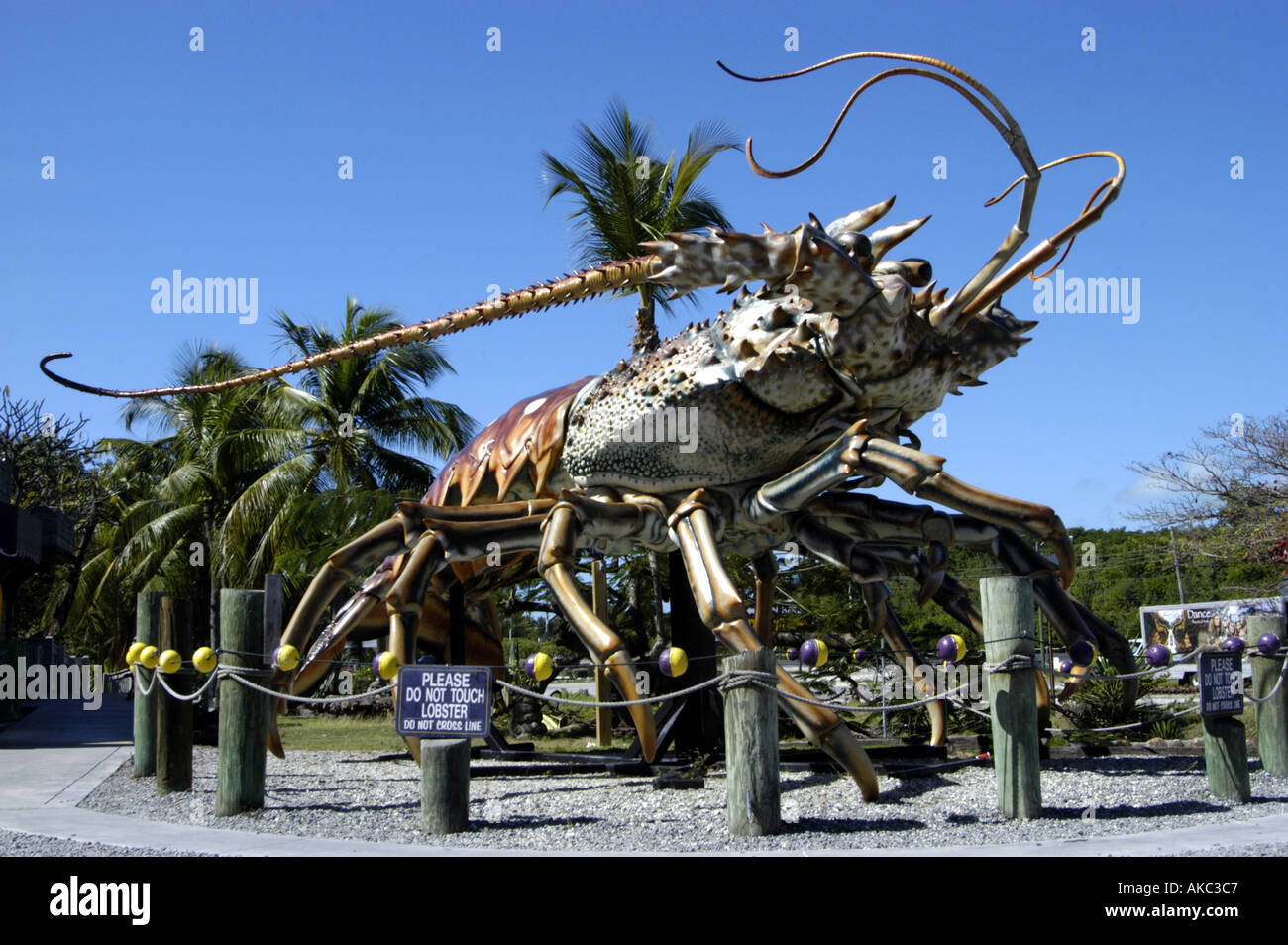 Giant lobster statue florida keys hi-res stock photography and images ...