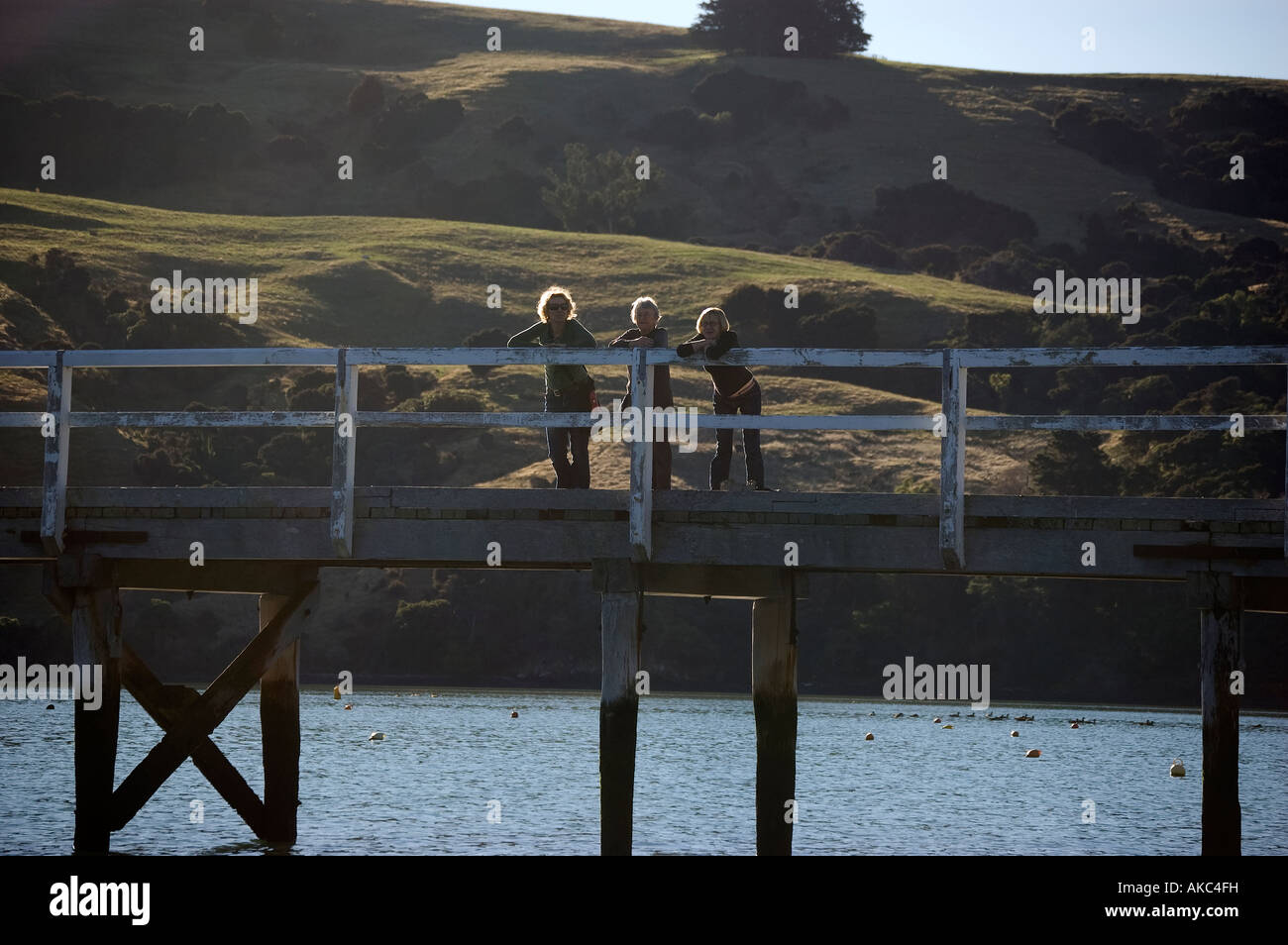 The ladies bridge hi-res stock photography and images - Alamy