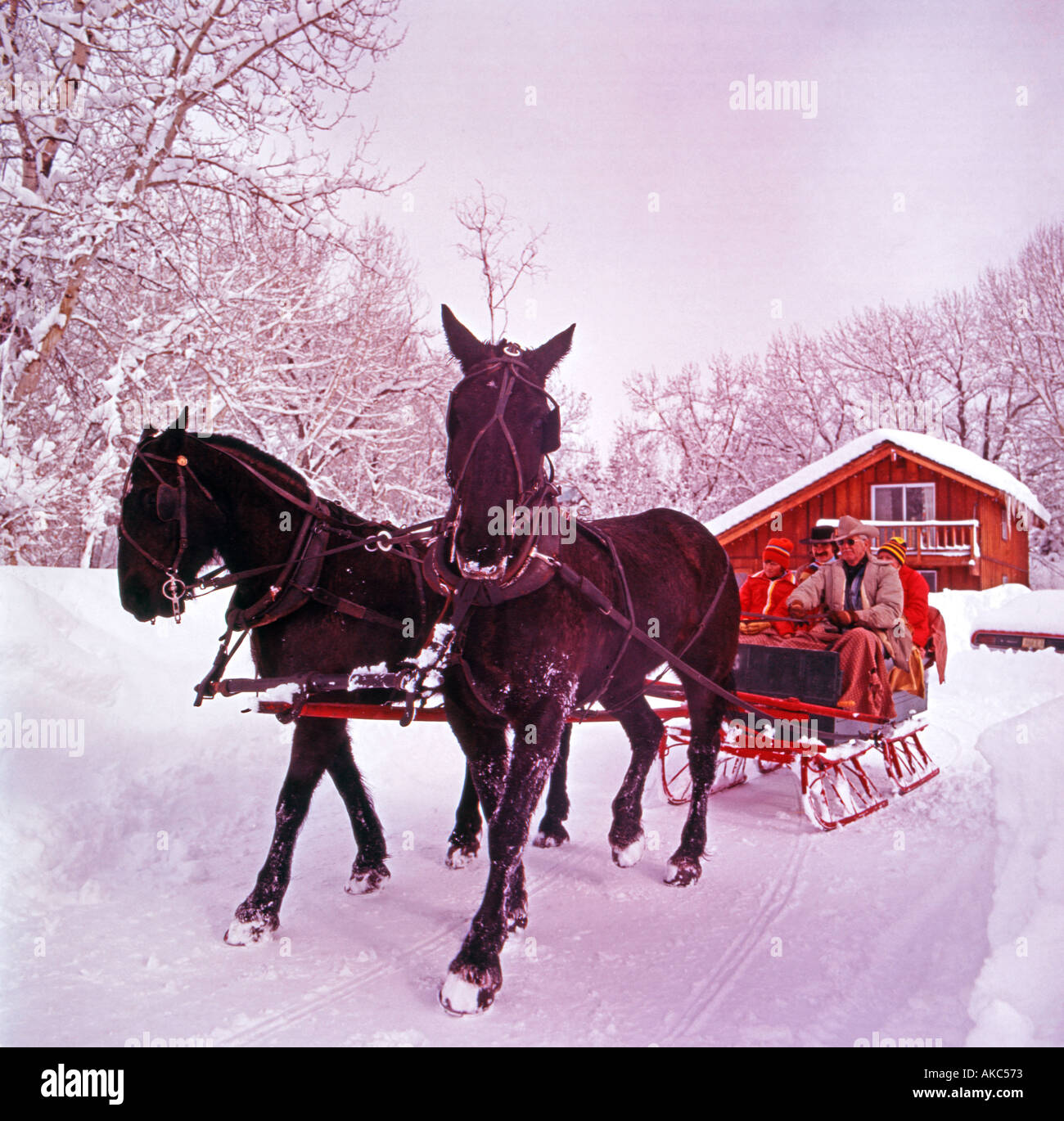 Sleigh riding in a Wintry scene A family outing in the snow Stock Photo ...