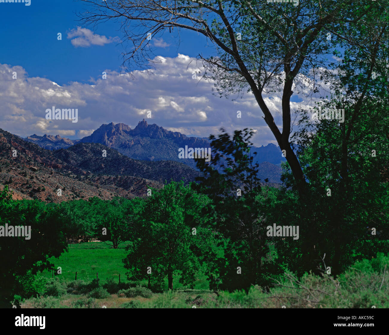 Southern Utah area around Springdale in Utah at the entrance to Zion ...