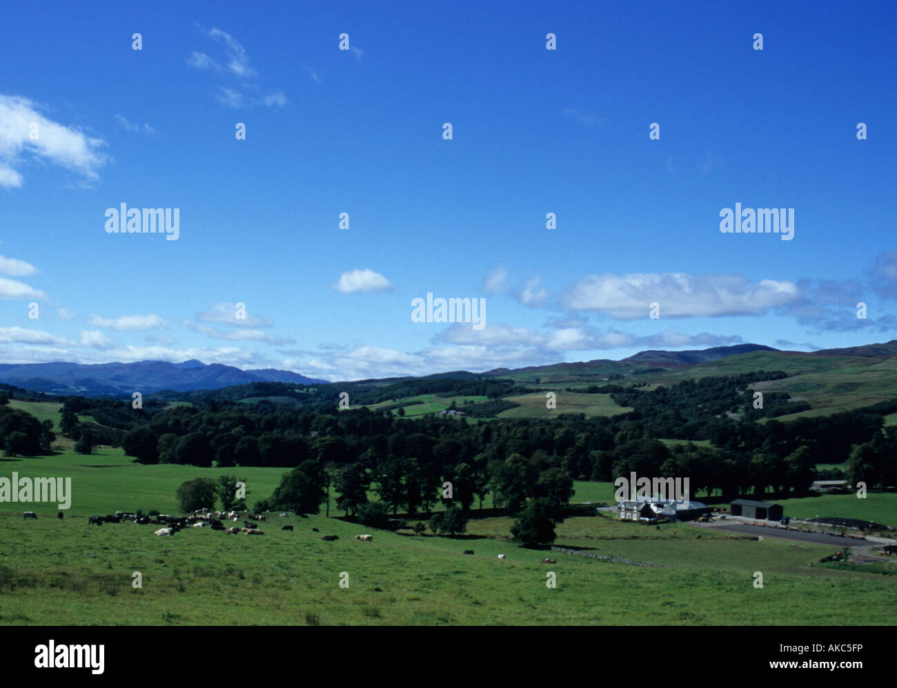 Farmland In Perthshire,Scotland,Uk In Summer Stock Photo - Alamy