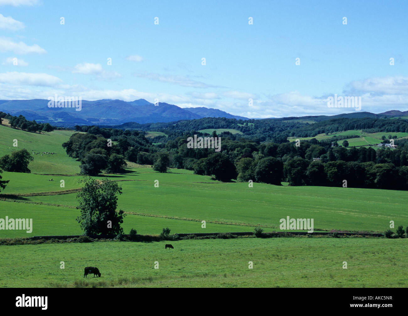 Farmland In Perthshire,Scotland,Uk In Summer Stock Photo - Alamy