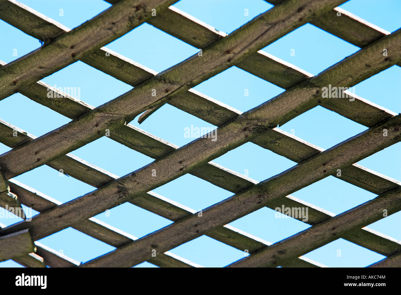 TRELLIS, GARDEN, PLANTS, SHAPES, SQUARES, WOOD, SKY Stock Photo - Alamy