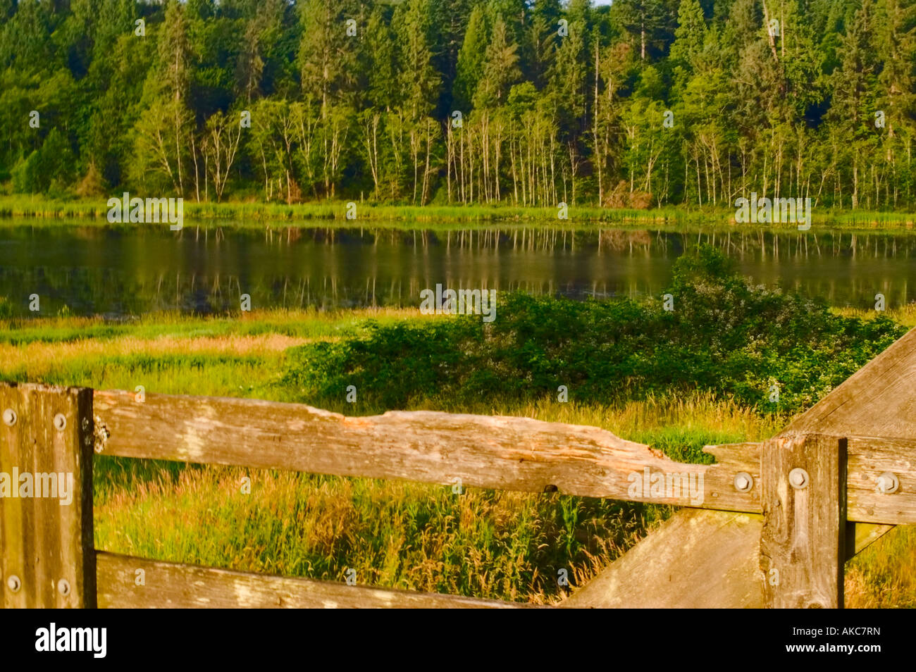 Diamond lake washington hi-res stock photography and images - Alamy