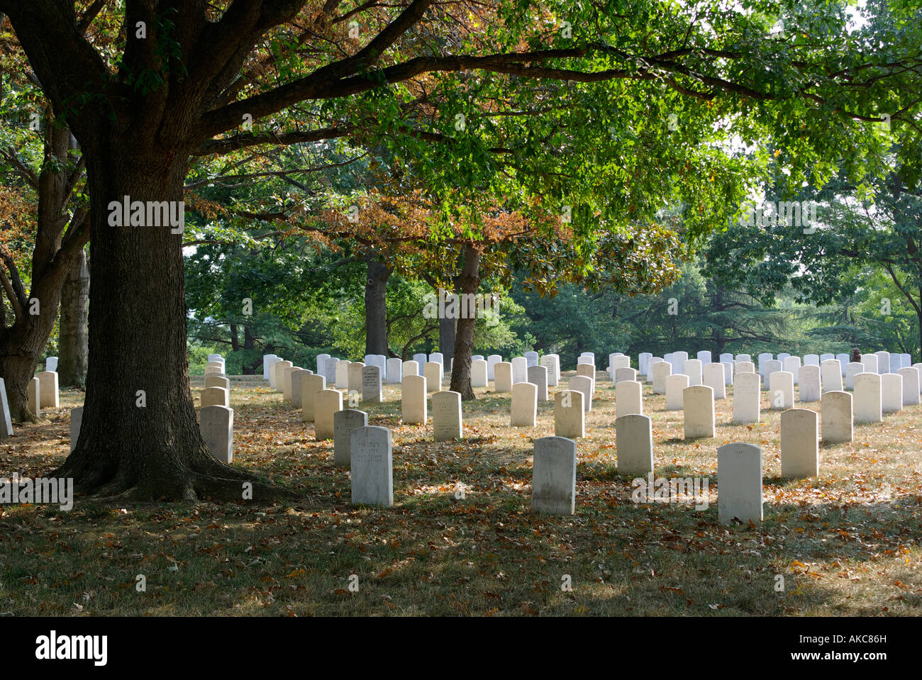 Grave headstones at Arlington National Cemetery, Washington DC Stock ...