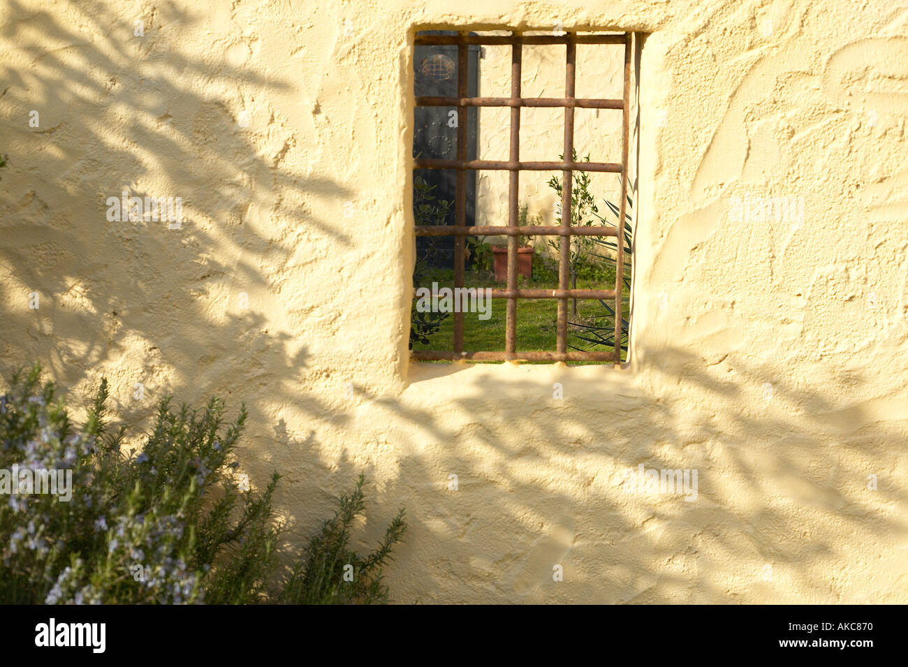 Detail of sunlit rough yellow render on garden wall with window into ...