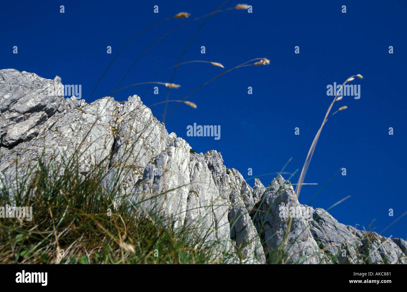 Kingstone hi-res stock photography and images - Alamy