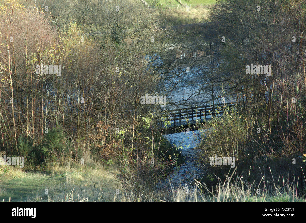 Bridge crossing the river Dare, (Dare Valley country park Stock Photo ...