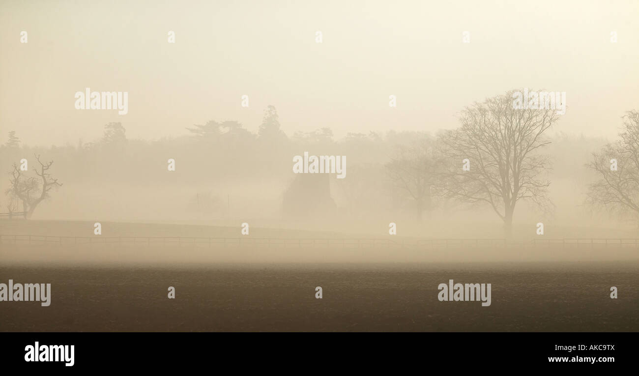 Early morning mist across fields to church at Barningham, Norfolk ,UK ...