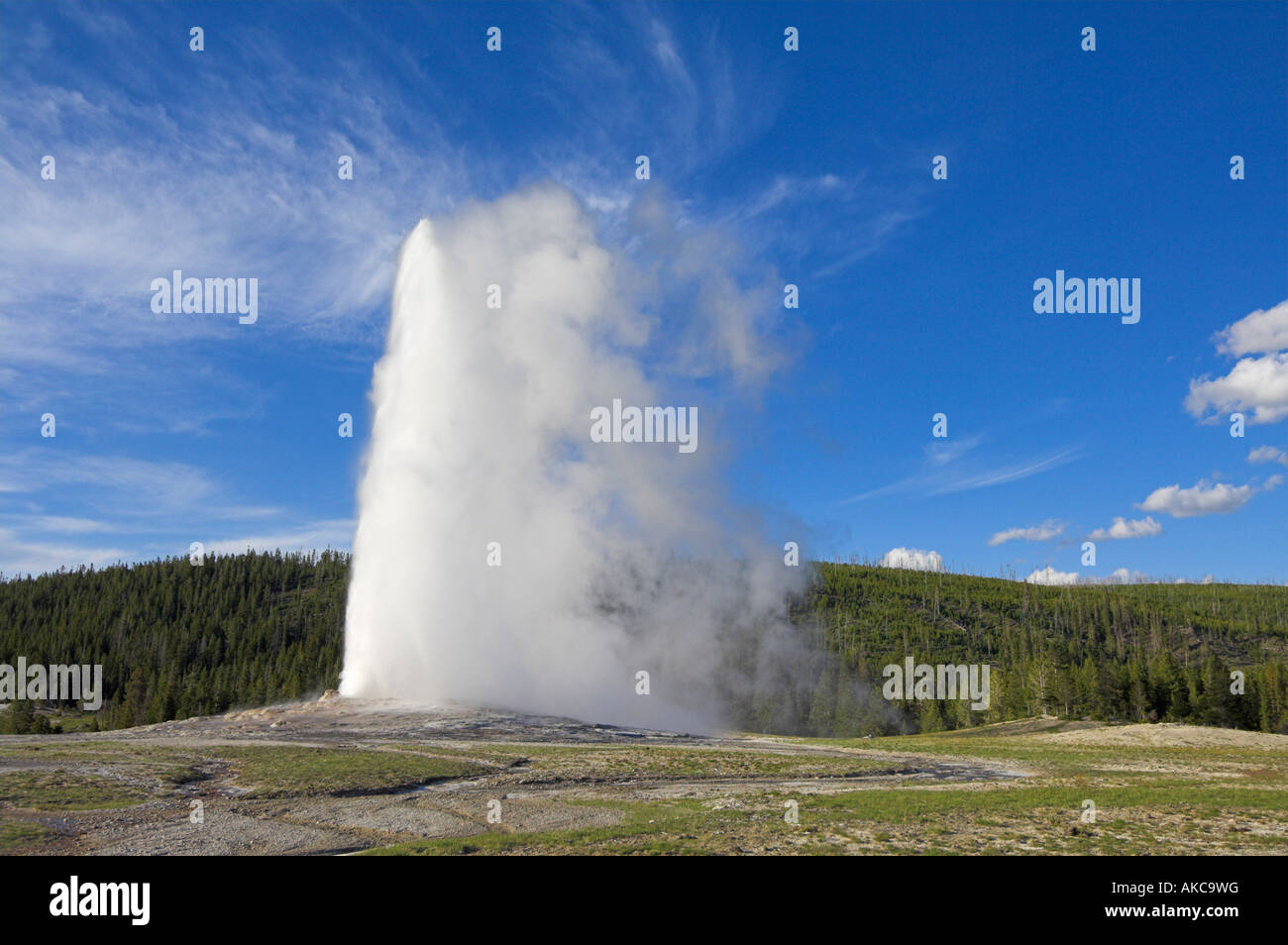 old faithful geyser erupting upper geyser basin yellowstone national ...