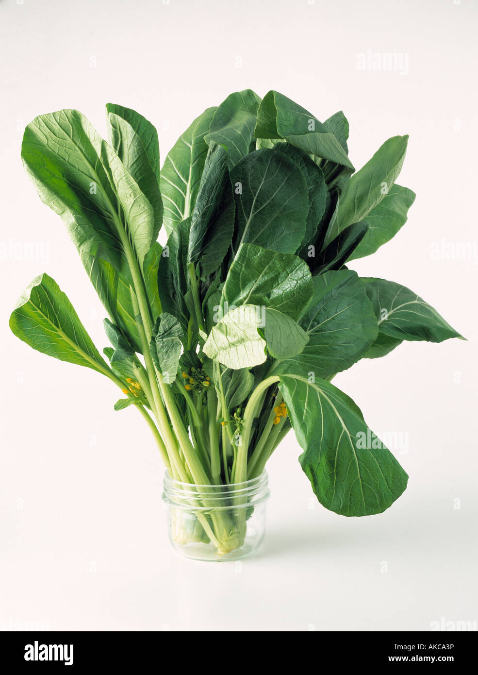 Choi Sum on a white background vegetarian ingredients editorial food ...