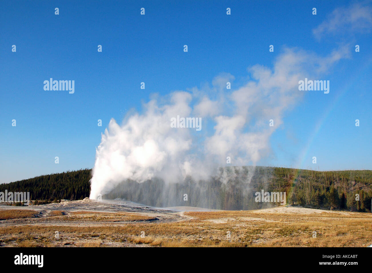Old Faithful geyser erupting, Yellowstone National Park, USA Stock ...