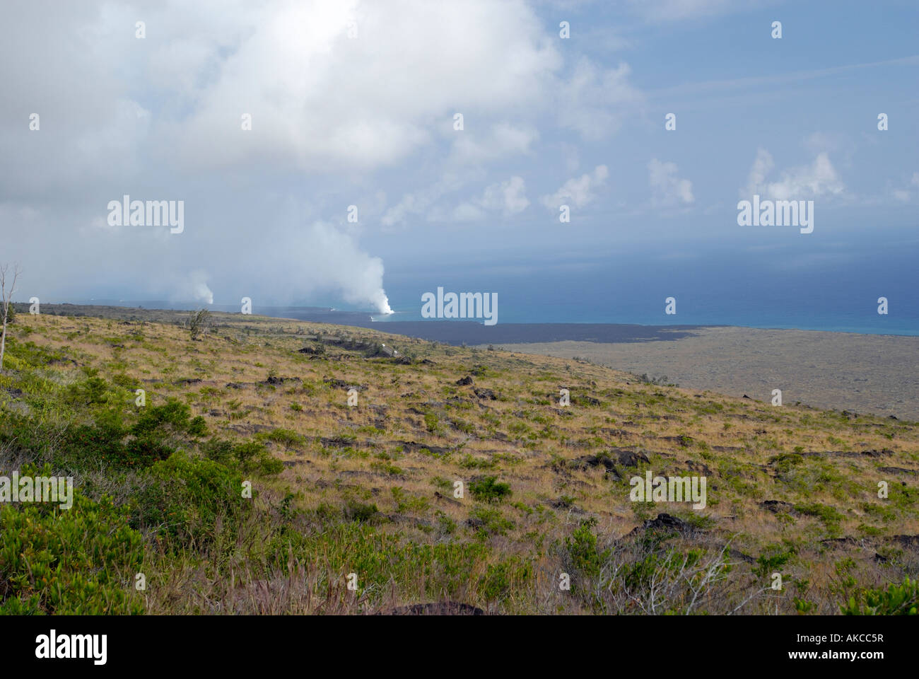 Steam columns created by lava flowing into Pacific Ocean on Island of ...