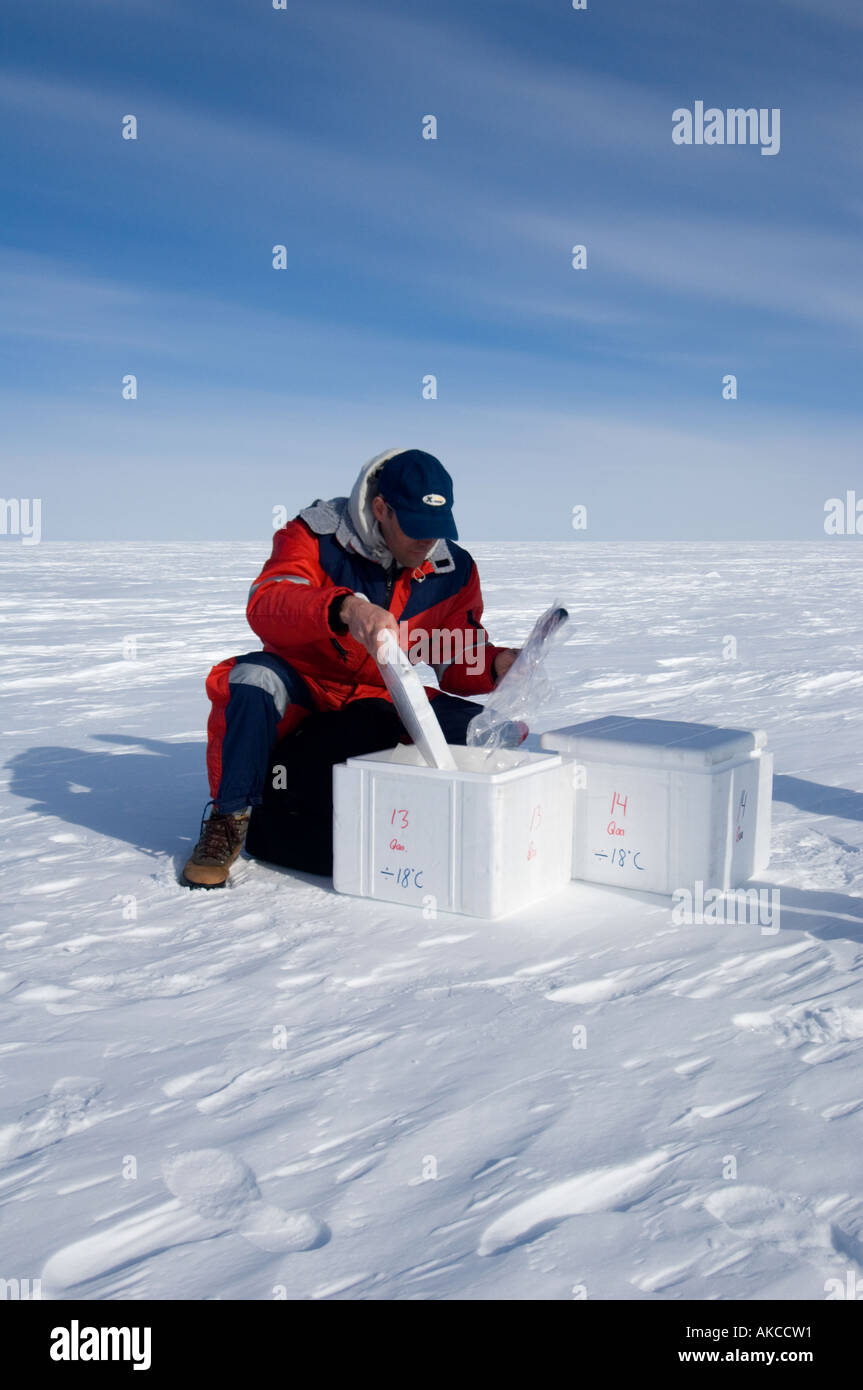 Greenland Ice cap, near qaanaaq, thule. Danish scientist collecting ...