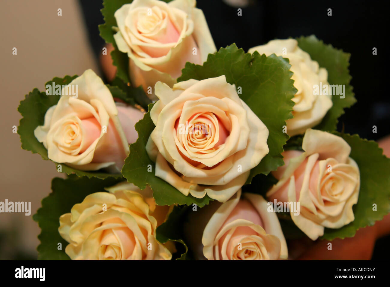 bride s champagne roses bouquet Stock Photo - Alamy
