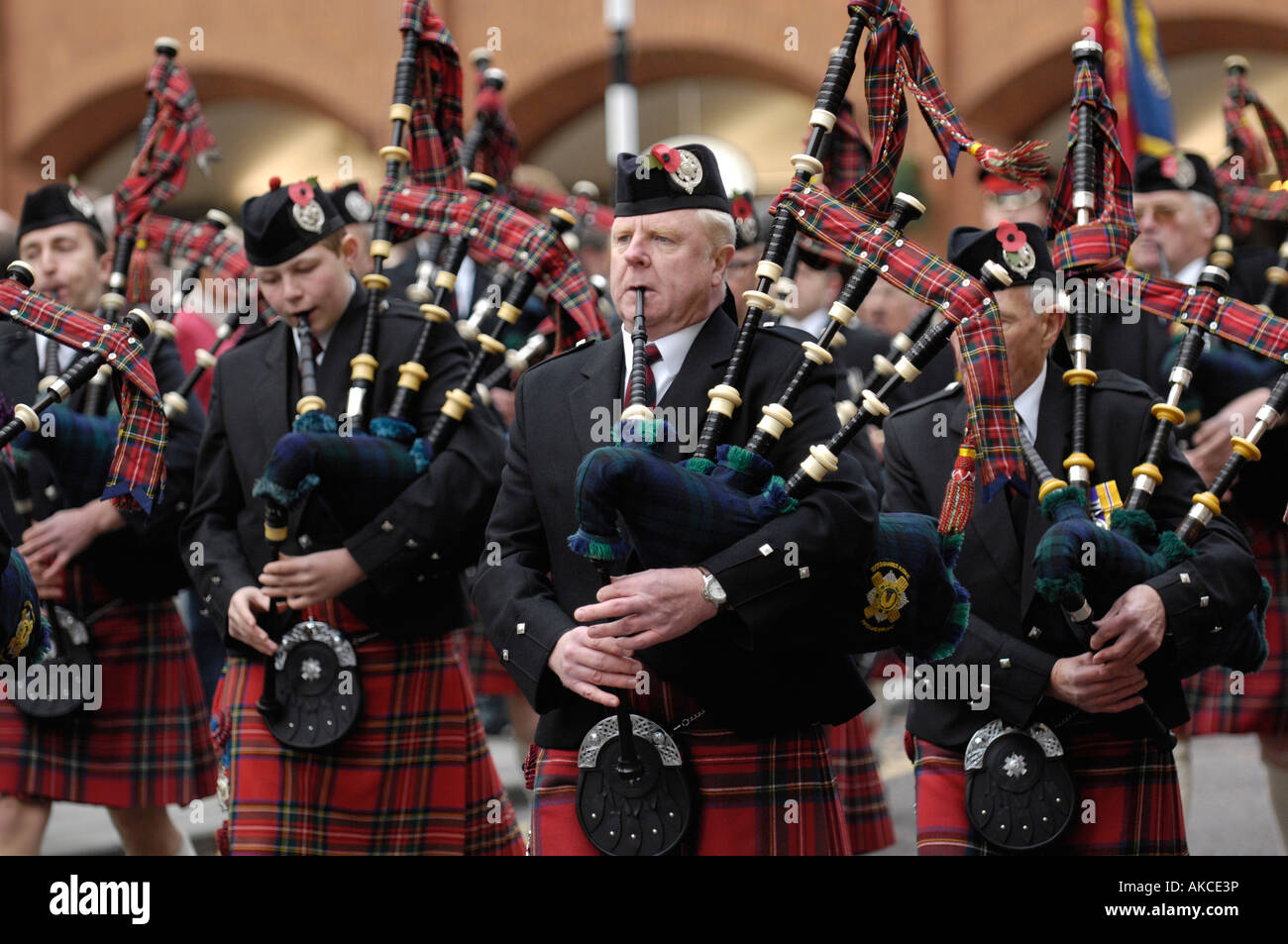 Scottish Pipers marching at remembrance day service Stock Photo - Alamy