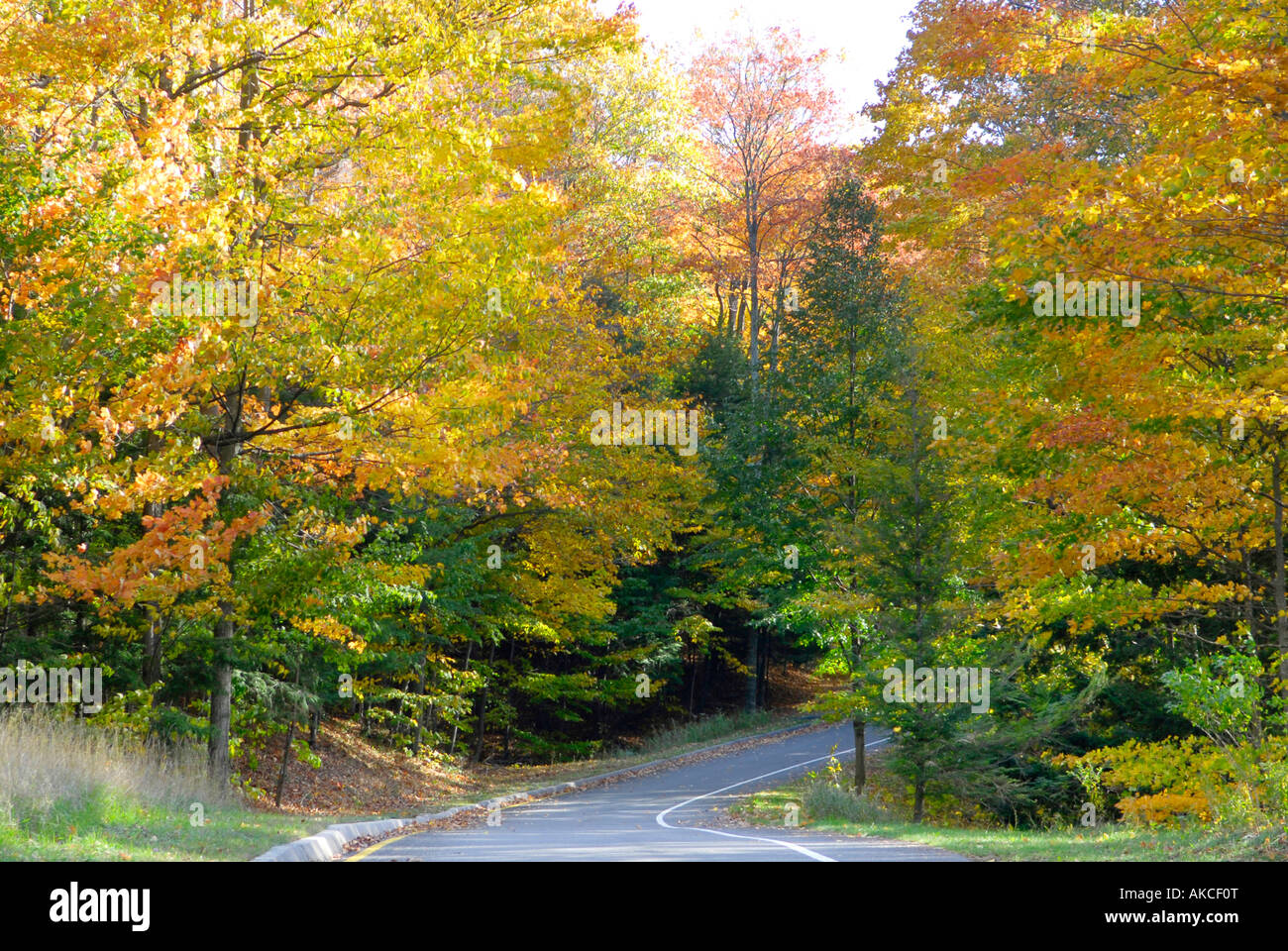 The Pierce Stockling Scenic Drive during Autumn fall color foliage in ...
