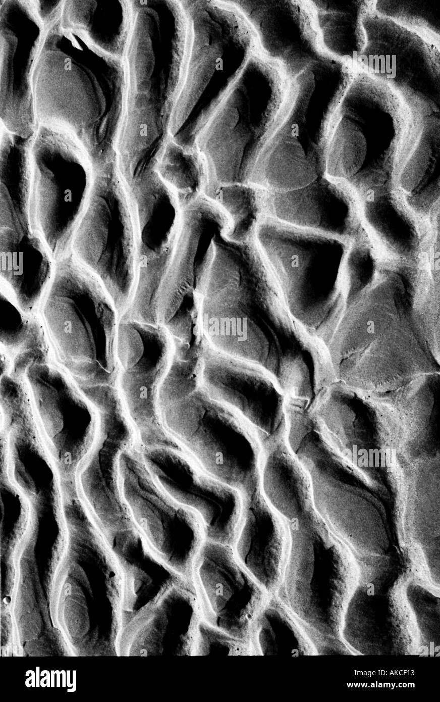 Ebbing tides creation of ripple patterns in the sand. Nature's patterns ...