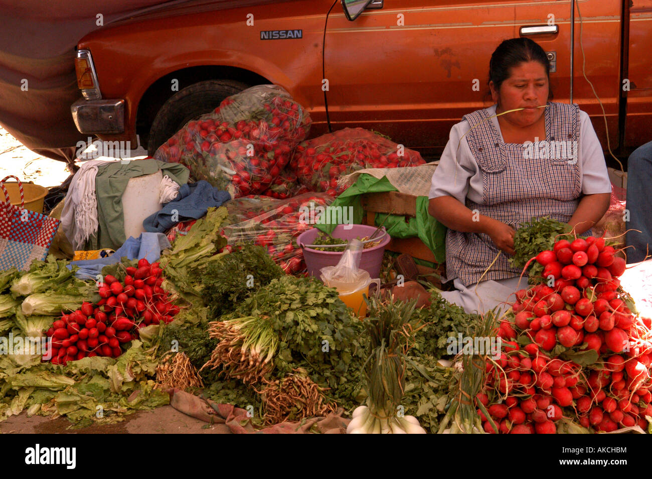 Mercado Abastos Market Oaxaca city Mexico Stock Photo - Alamy