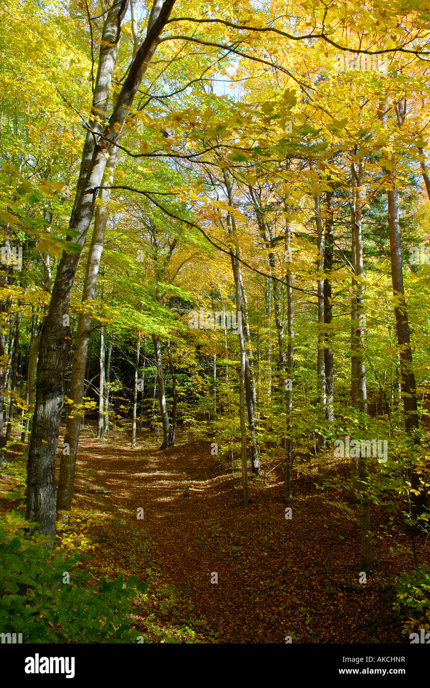 The Pierce Stockling Scenic Drive during Autumn fall color foliage in ...