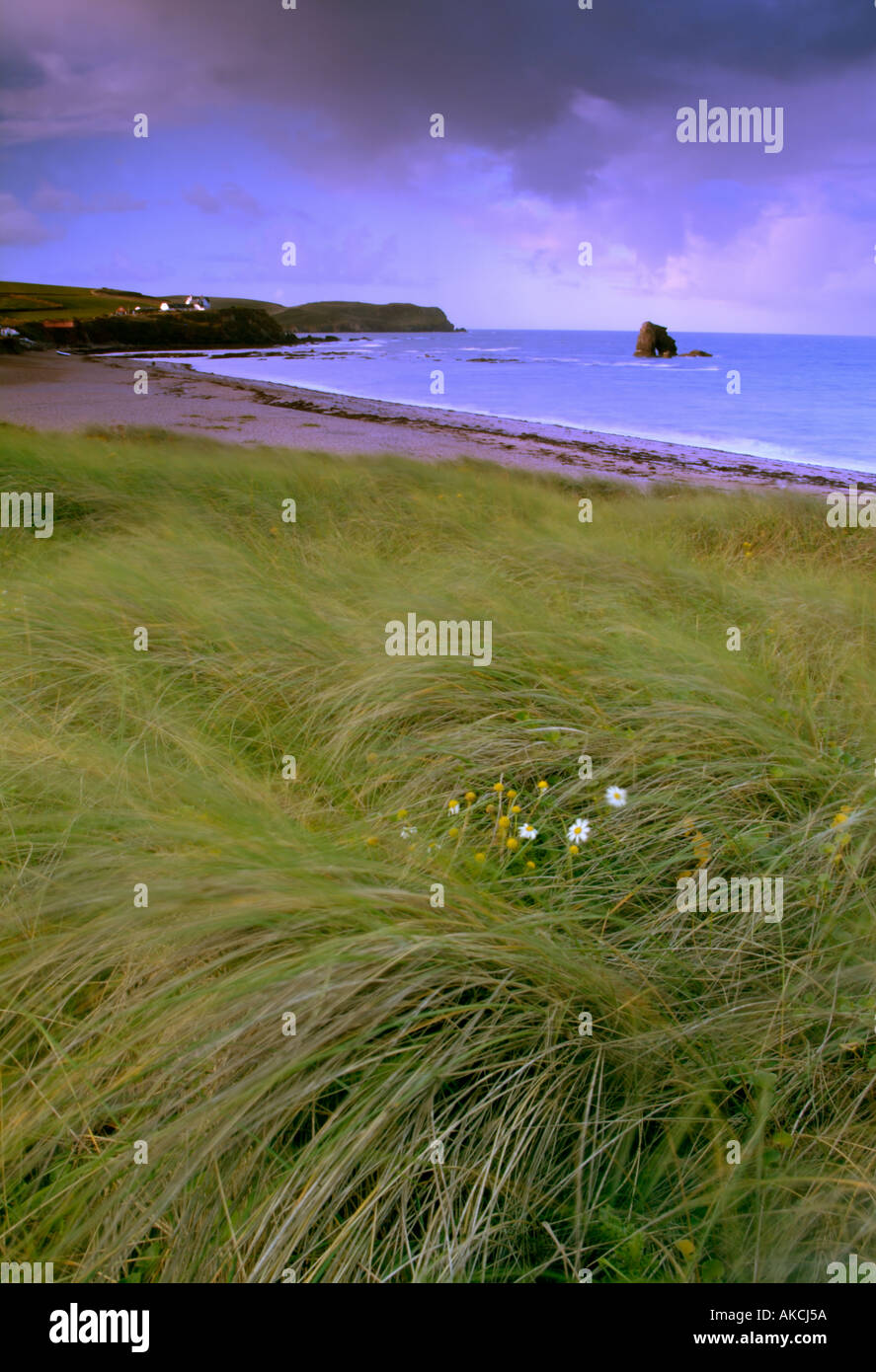 Thurlestone Rock from Sand Dunes, South Milton Sands Stock Photo - Alamy