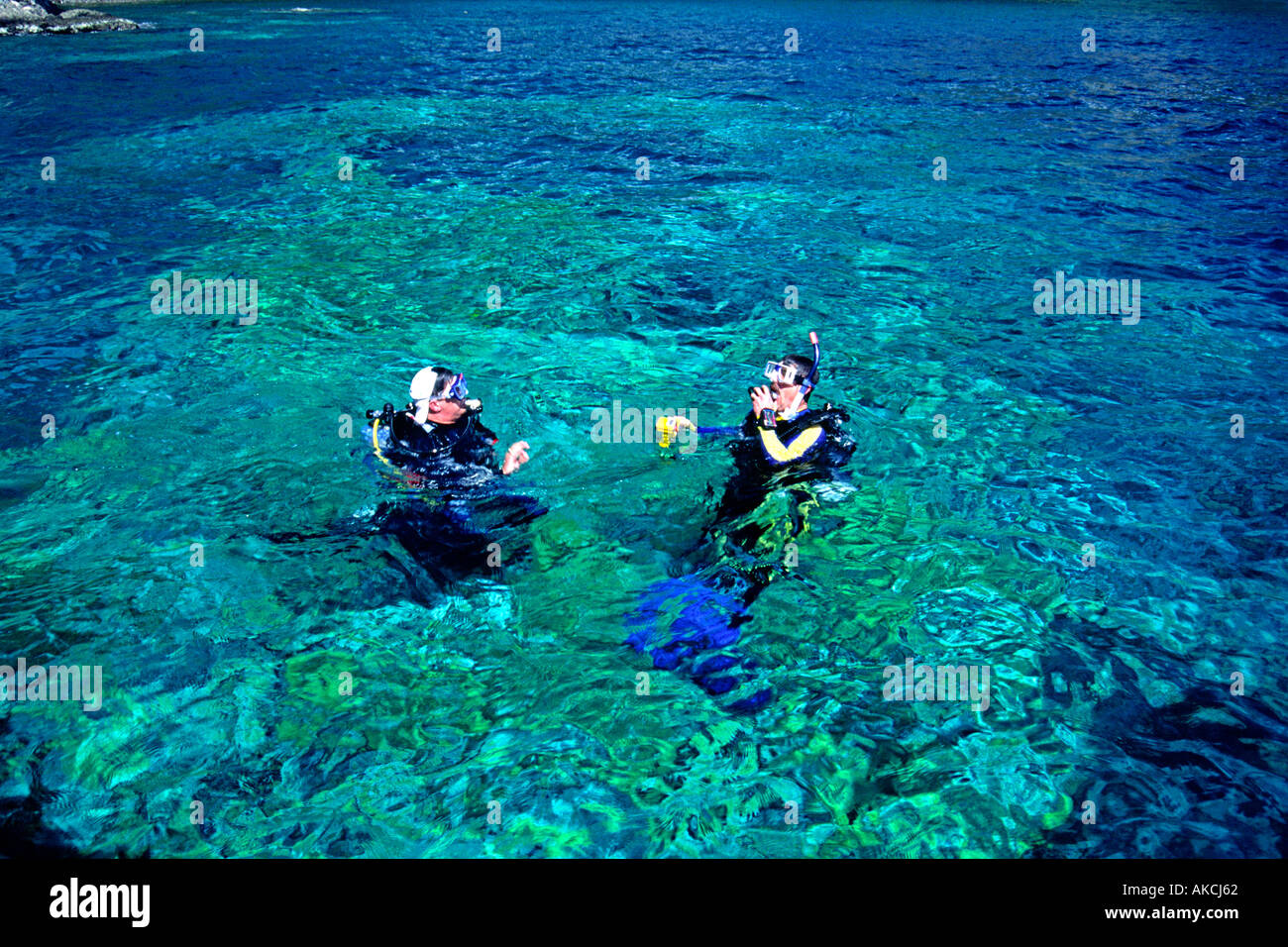 Two people scuba diving off the coast of St Lucia in the Caribbean ...