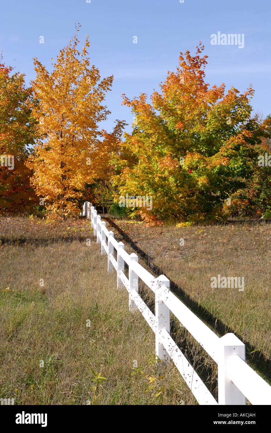 Autumn fall color scenic on the Lelaneau Peninsula in Northwest lower ...