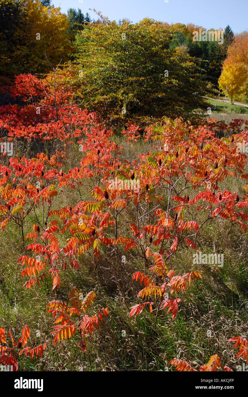Traverse city michigan fall hi-res stock photography and images - Alamy