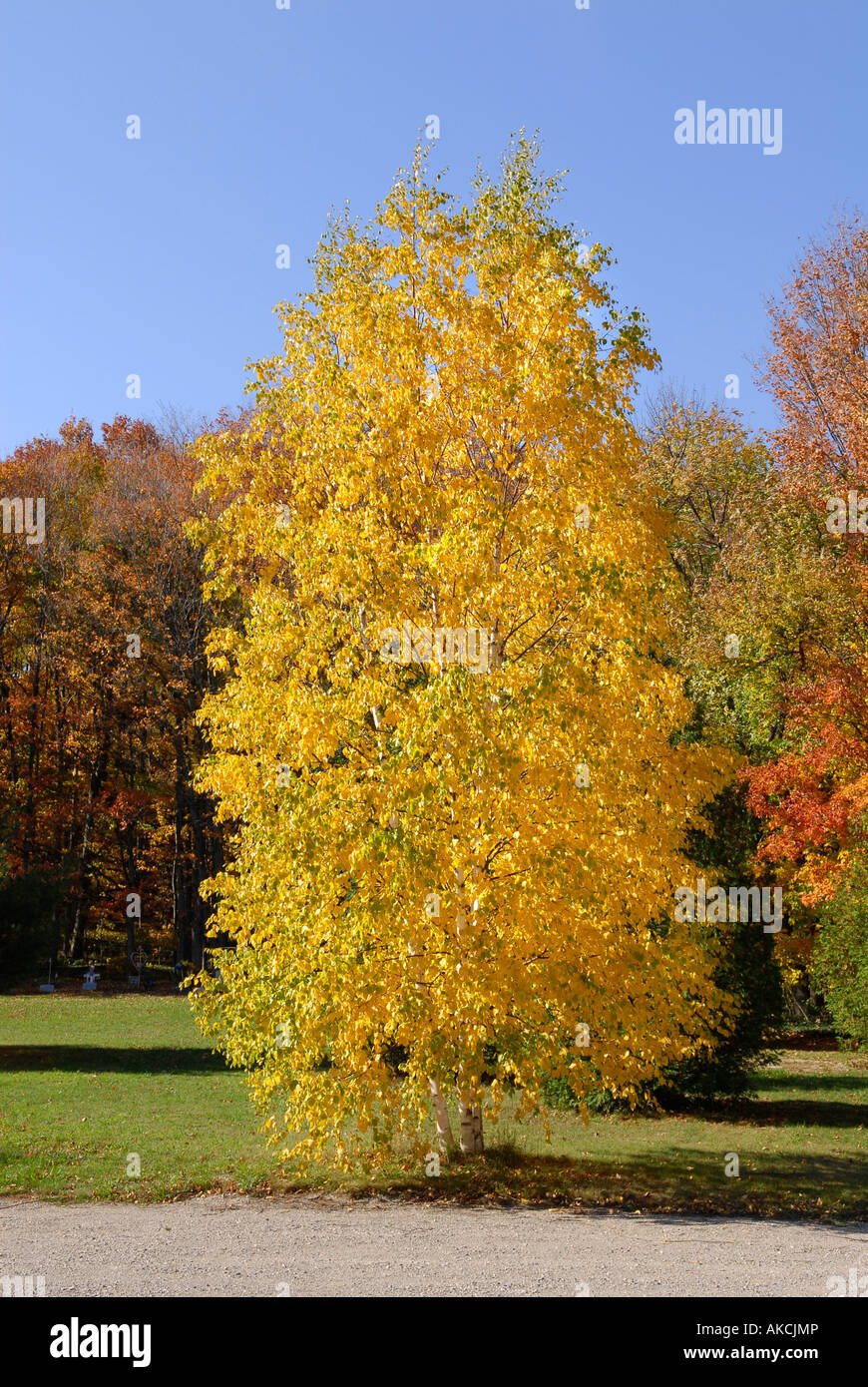 Traverse city michigan fall hi-res stock photography and images - Alamy