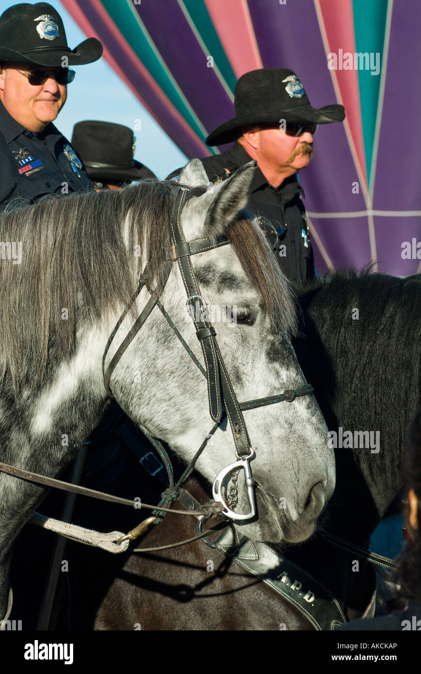 Dappled colored police horse with two policemen Stock Photo - Alamy