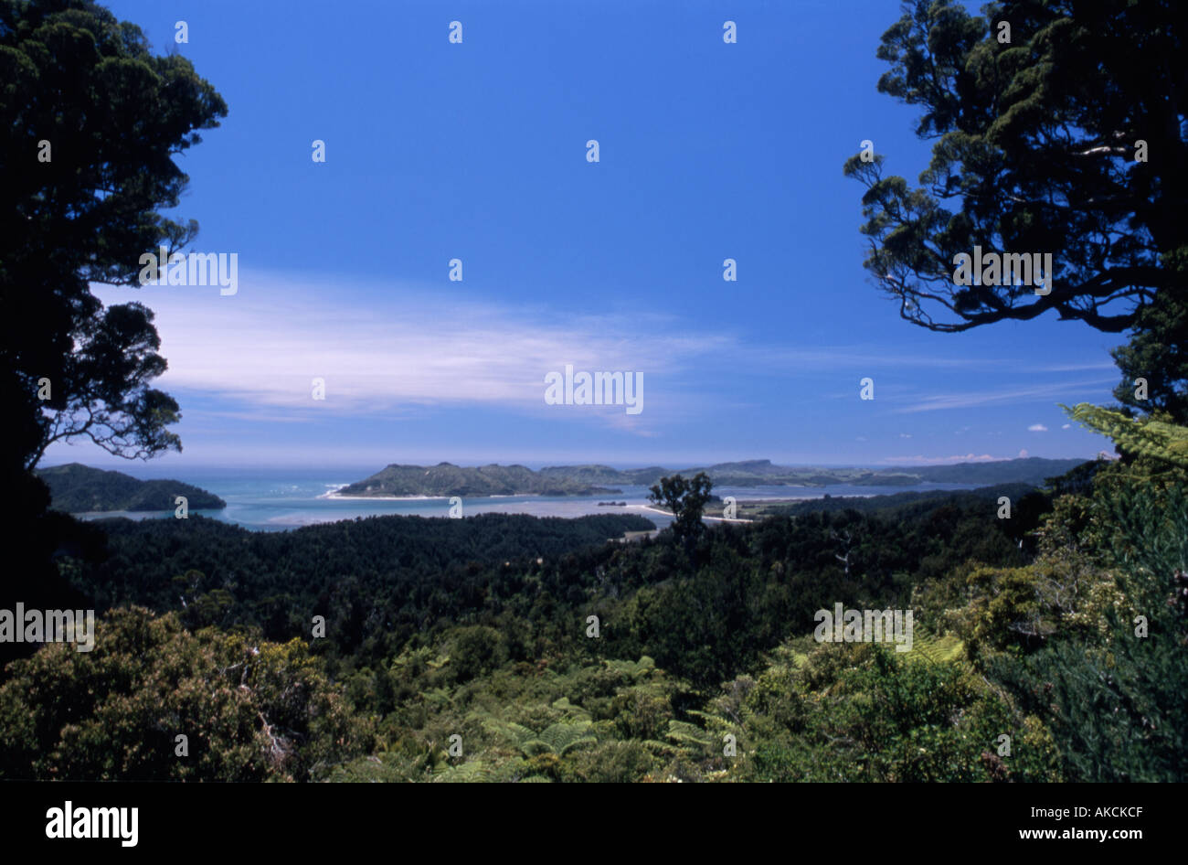 Coastal inlet harbour south of Wharariki Beach Golden Bay New Zealand ...