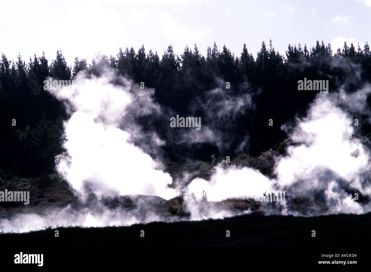 Steam issues from vents at the Craters of the Moon Thermal Reserve near ...