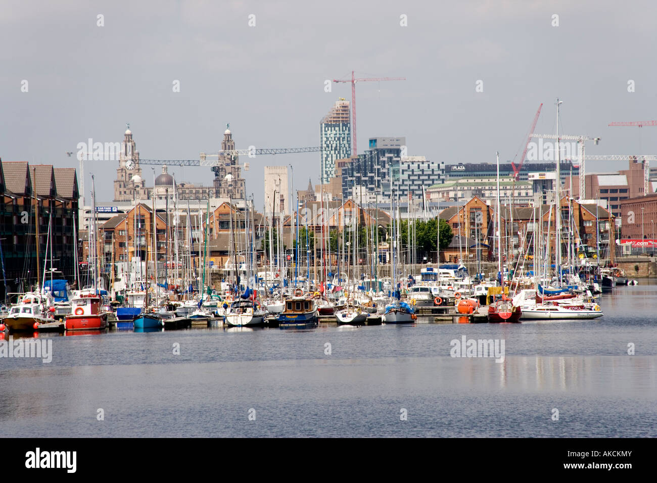 The Liver Building from the Brunswick Dock, Liverpool, England, United ...