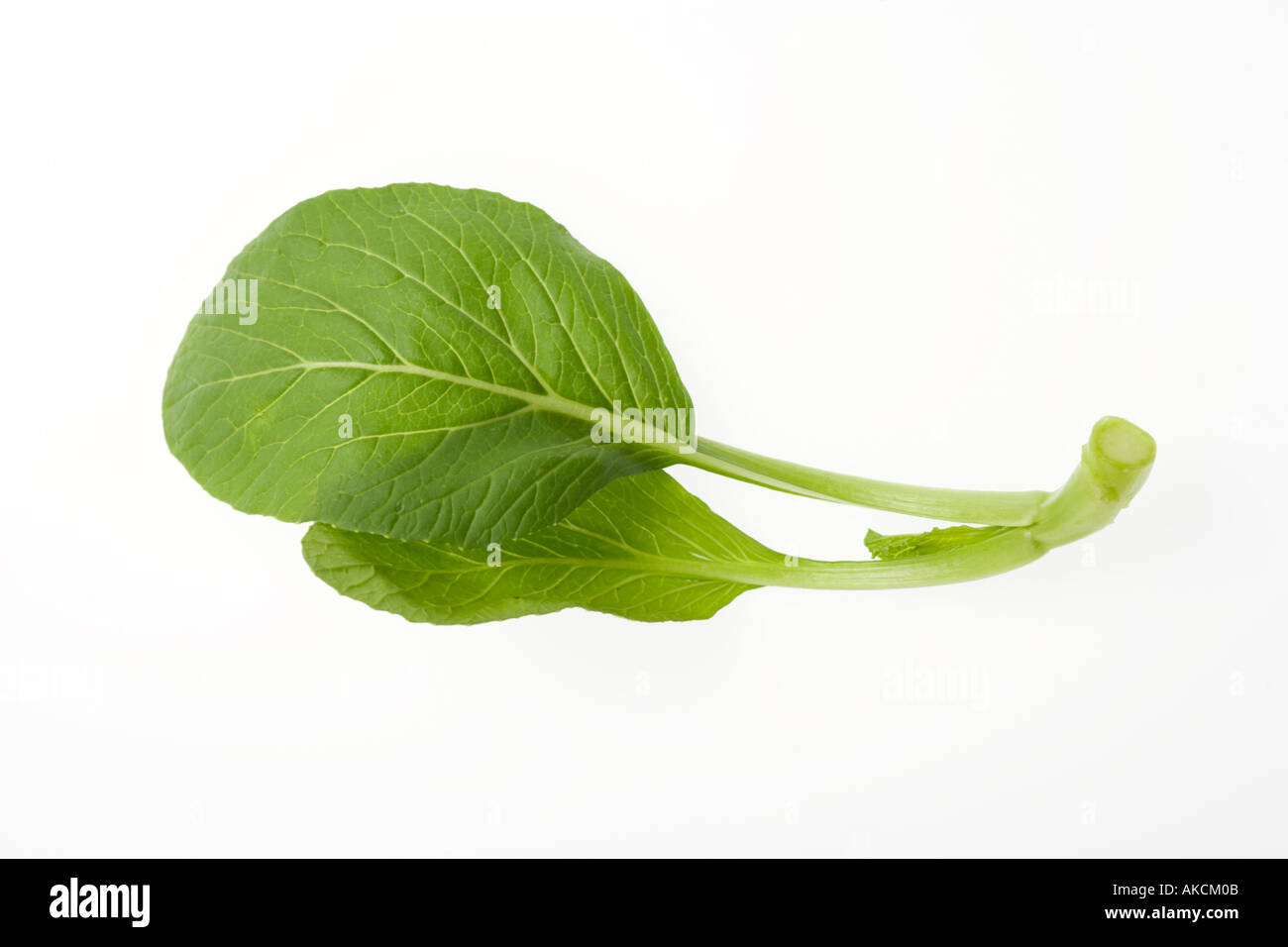 Choisum hi-res stock photography and images - Alamy