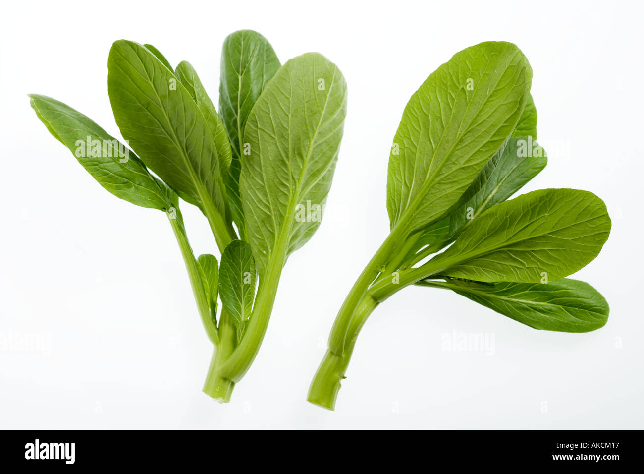 Choisum hi-res stock photography and images - Alamy