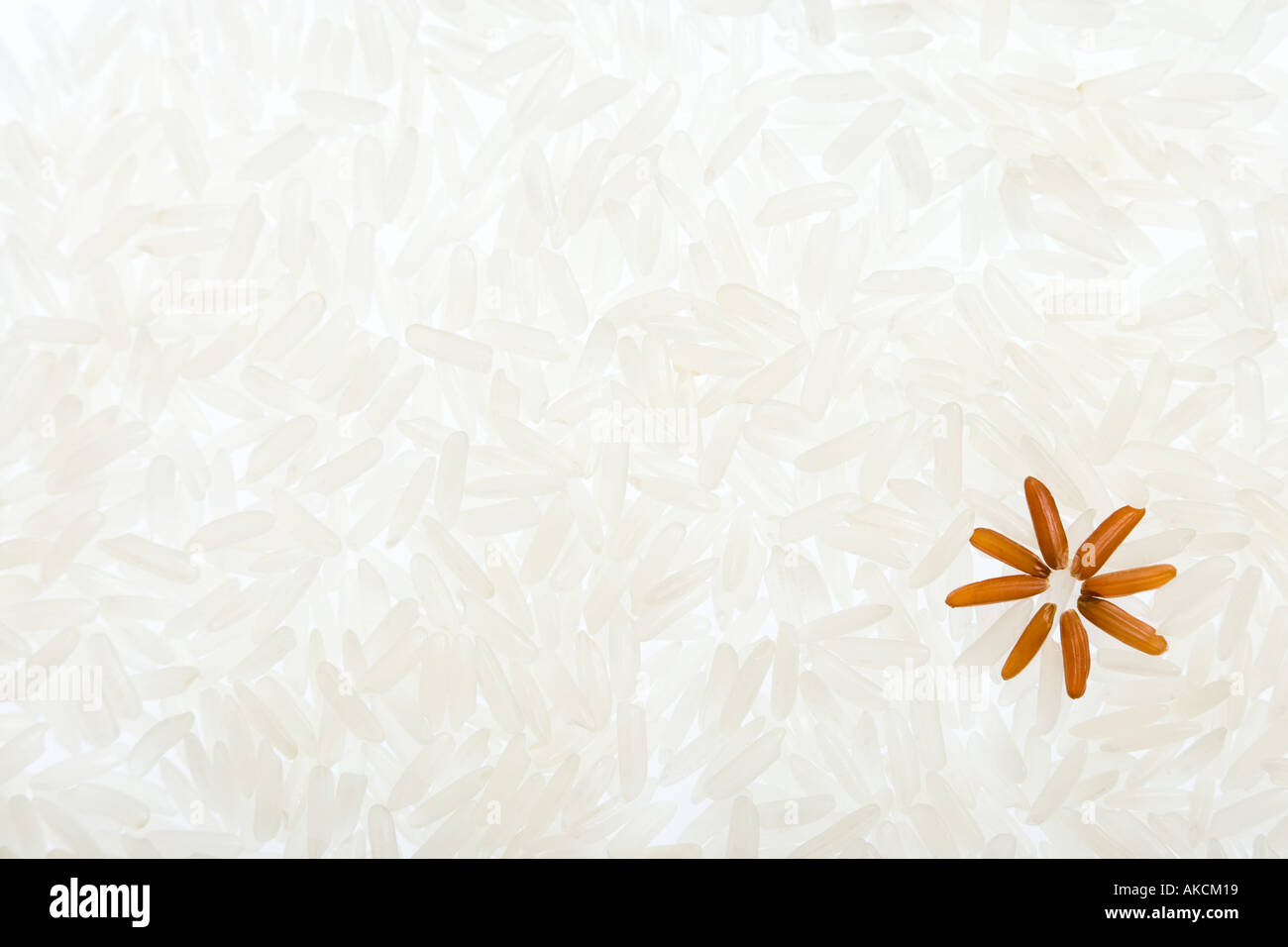 rice spells rice in chinese characters Stock Photo - Alamy