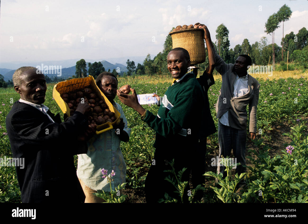 Men working the fields hi-res stock photography and images - Alamy
