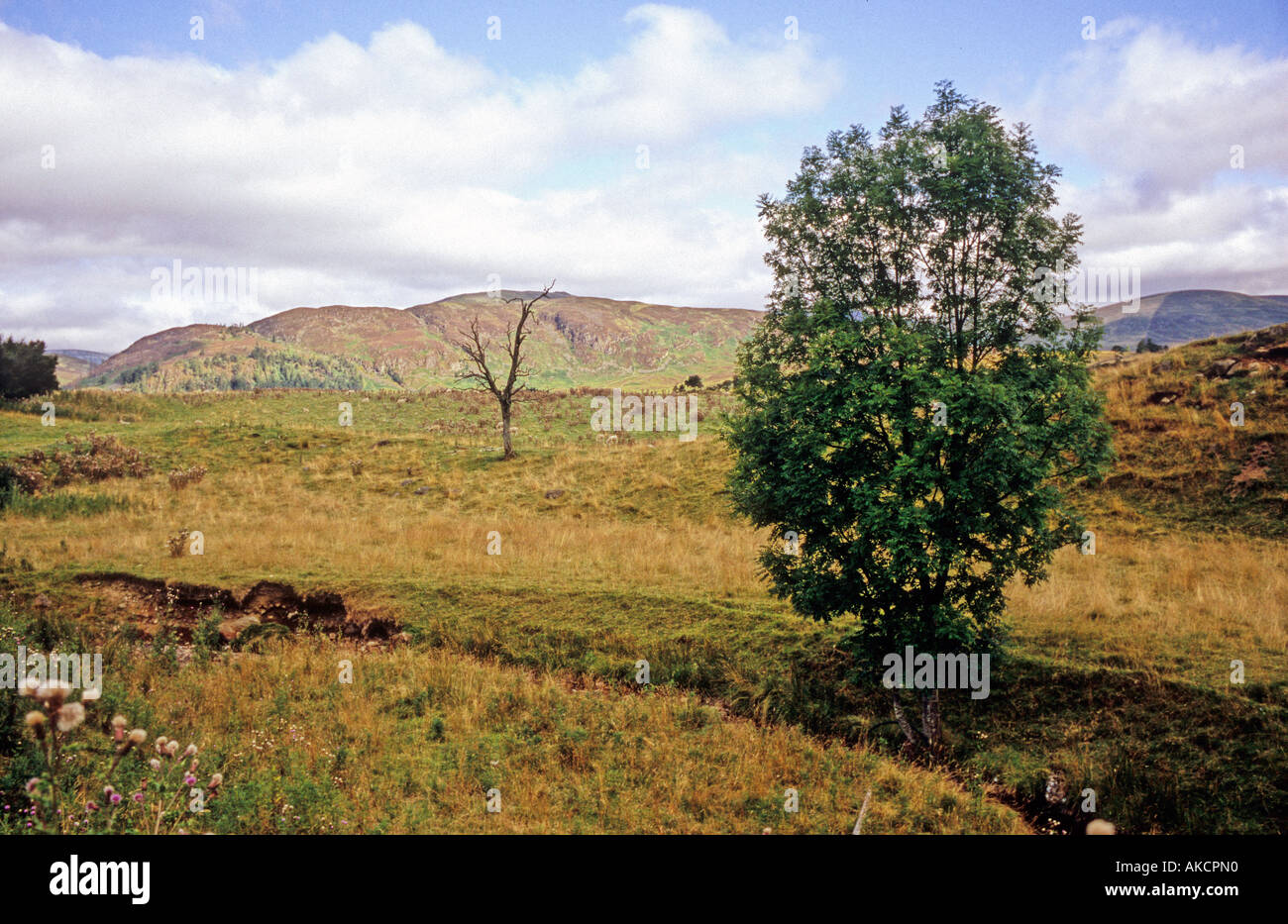 SCOTTISH HIGHLANDS PERTHSHIRE SCOTLAND Stock Photo - Alamy