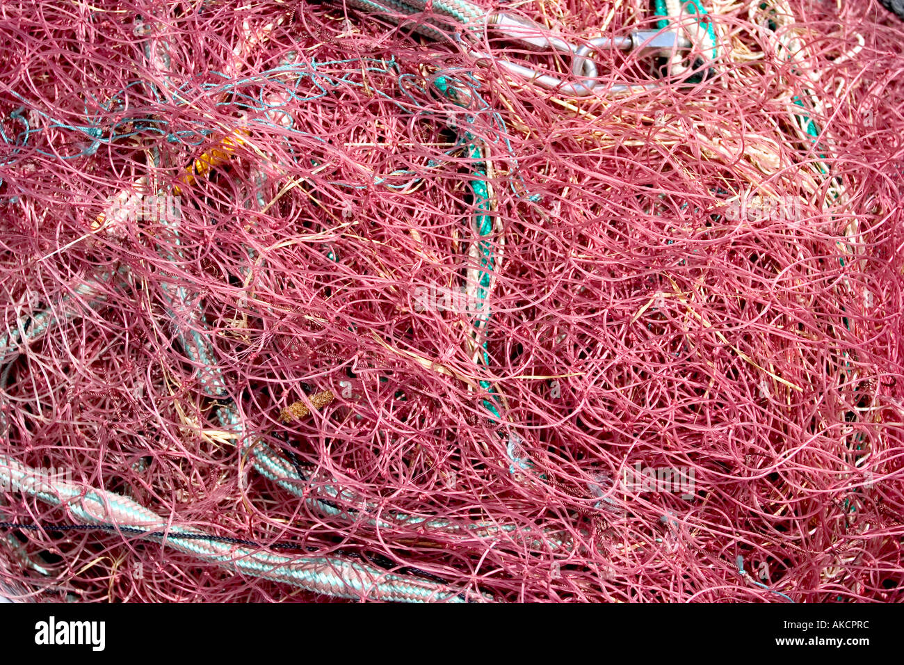 Fishnet package hi-res stock photography and images - Alamy