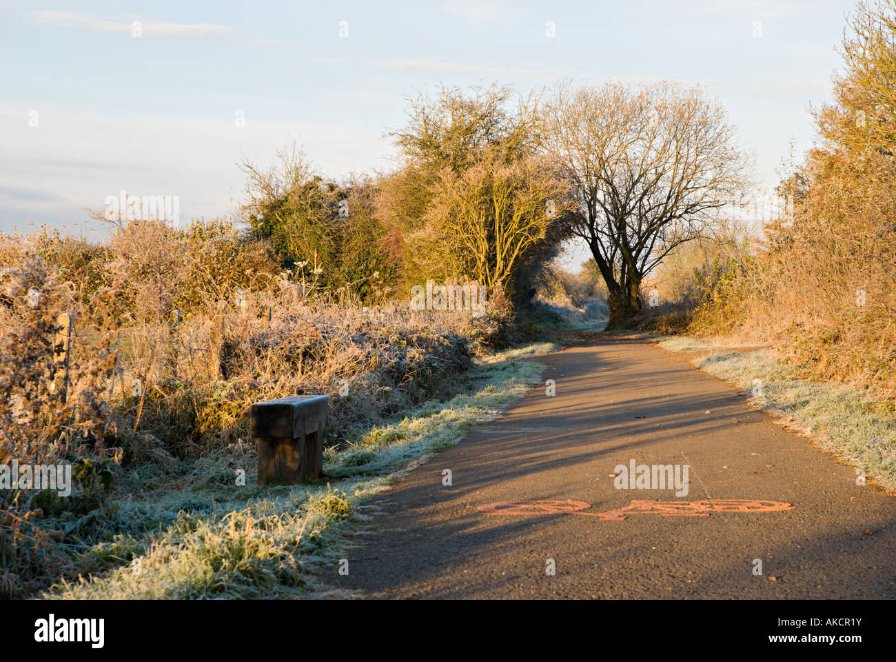 Colliers way cycle track on a frosty morning Stock Photo - Alamy