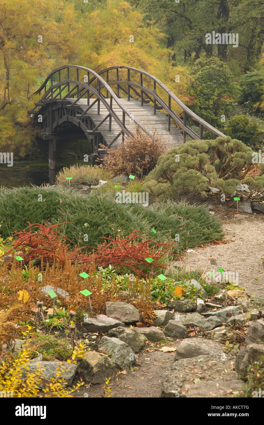 Botanical Garden in autumn Wroclaw Poland Stock Photo - Alamy